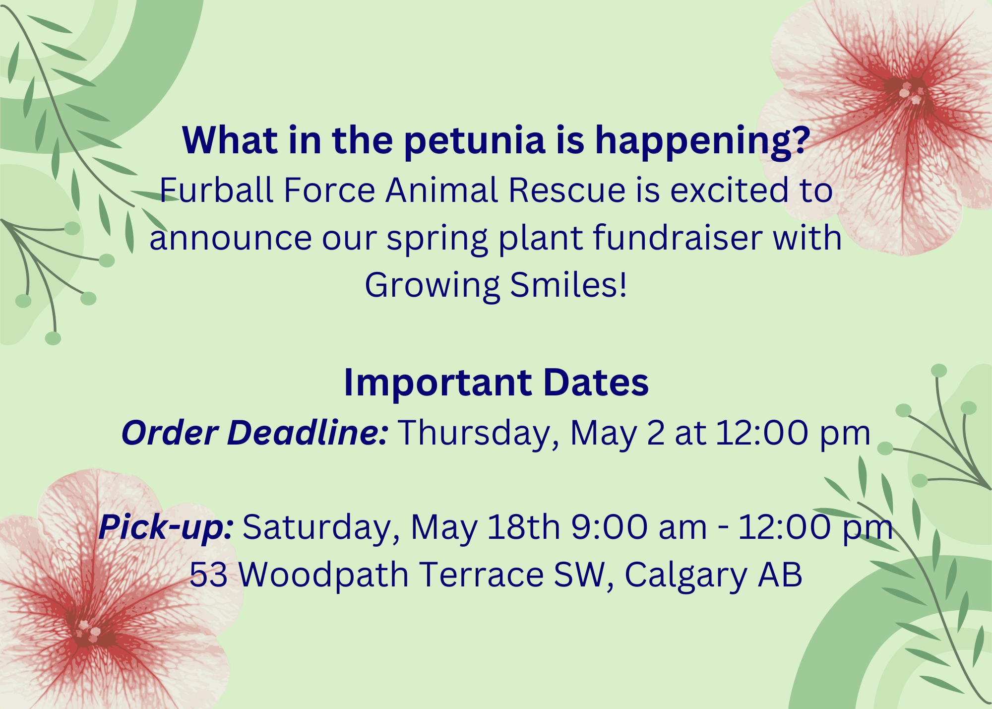 Furball Force Animal Rescue Society